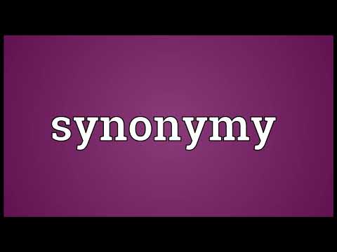 Synonymy Meaning