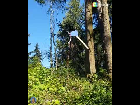 Wind Turbine In The Forest #shorts