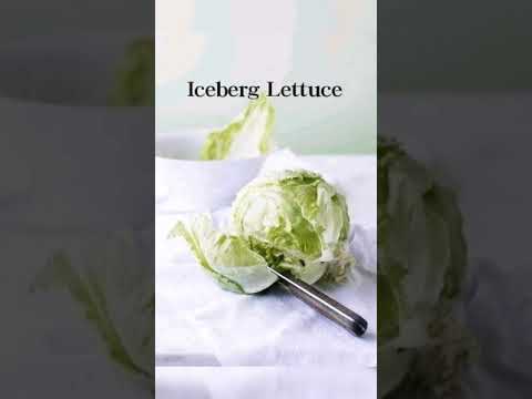 #all lettuce name