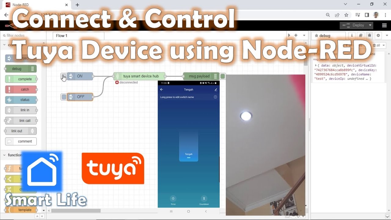 Connect and Control Tuya / Smart Life Device using Node-RED (BARDI Smart Home)
