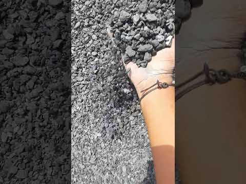 Charcoal at Best Price in India