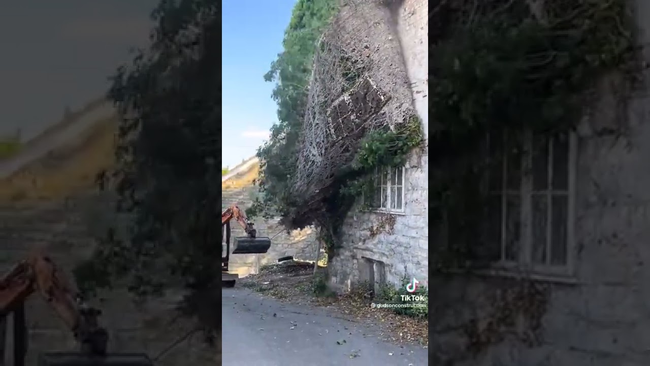 abandoned house overgrown with ivy
