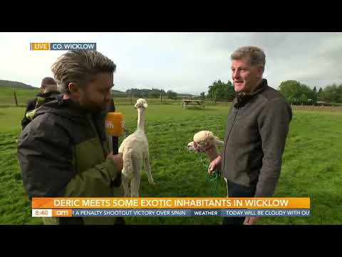June 25 The cutest thing you'll see today; alternative agriculture with alpacas