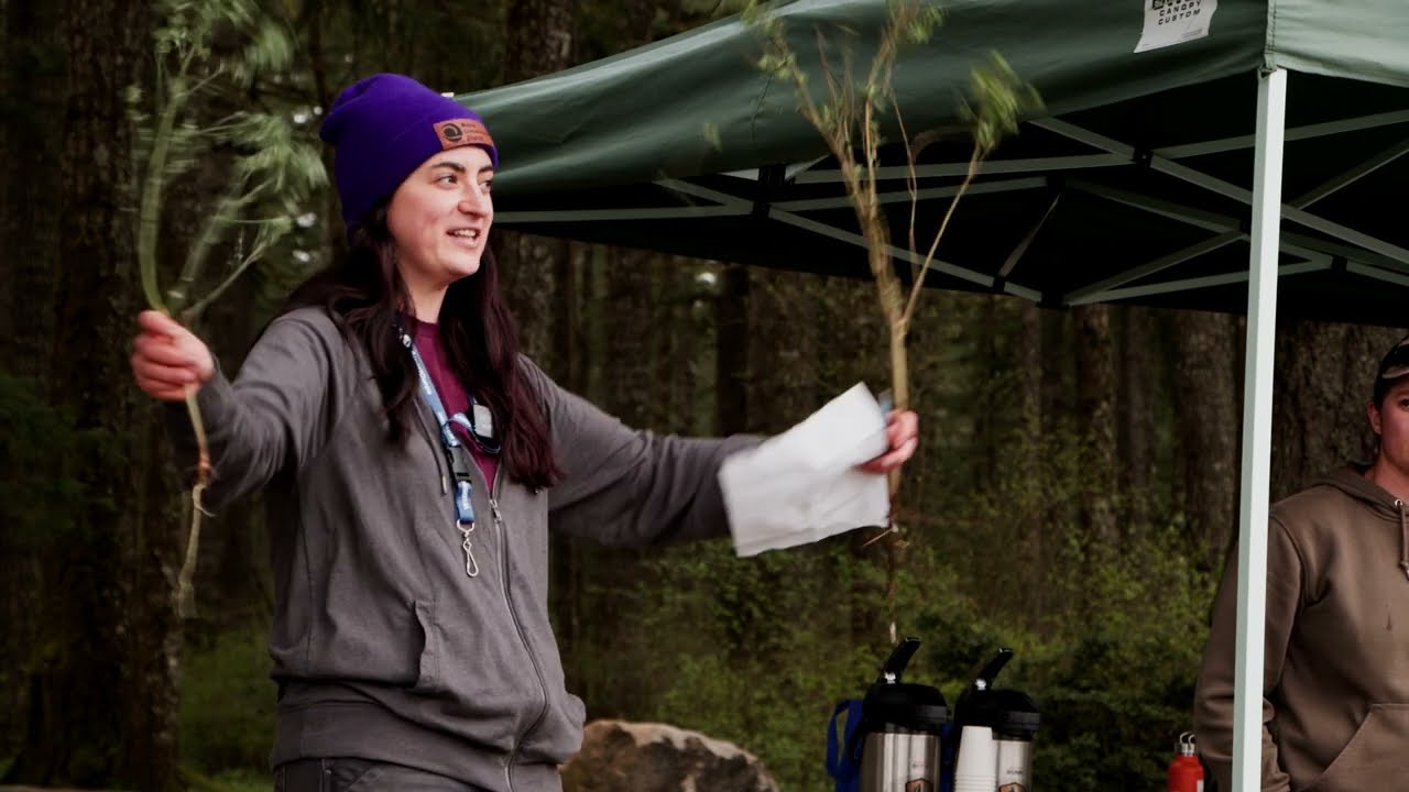 Mason Conservation District Better Forests