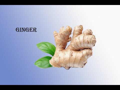 Root Vegetables in English
