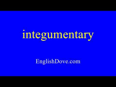 How to pronounce integumentary in American English