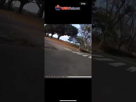 腳踏車騎到一半突然想蹲草叢 | WoWtchout - 地圖型行車影像分享平台