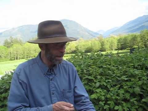 Ask The Farmer: How Do I Control Weeds in an Organic Garden?