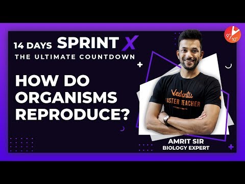 How do Organisms Reproduce? Sprint X 2020 | CBSE Class 10 Science Chapter 8 | NCERT Solutions