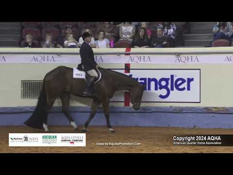 2024 AQHA Junior Hunter Under Saddle World Champion