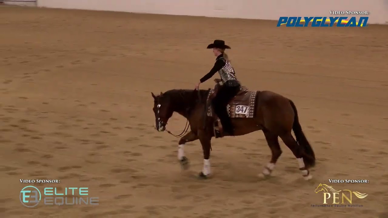 2023 high roller reining classic limited non pro 72 - Brooke Hudson
