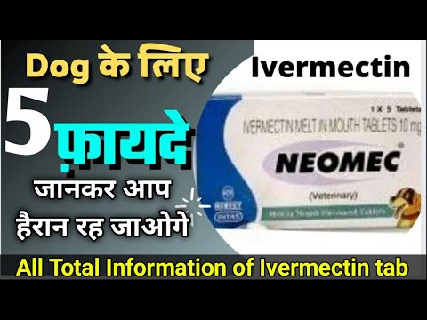 Neomec Tablet - Ivermectin Melt In Mouth Tablets Latest Price ...