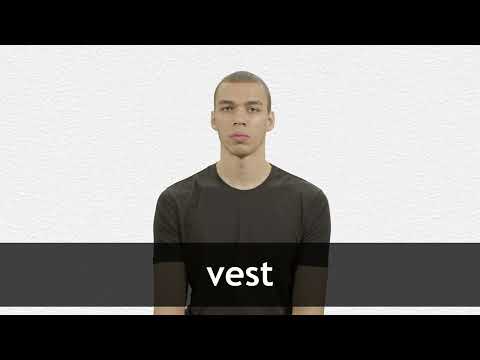 VEST definition and meaning | Collins English Dictionary