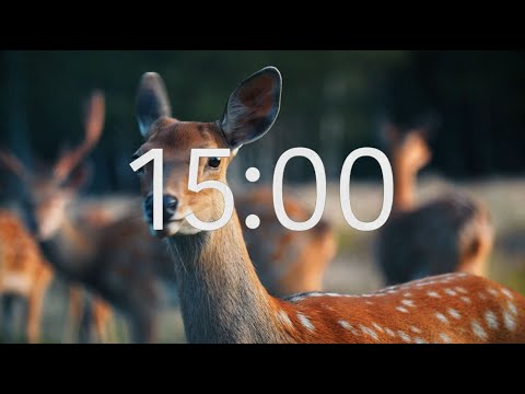 15 Minute Timer With Relaxing Music: Animal Theme