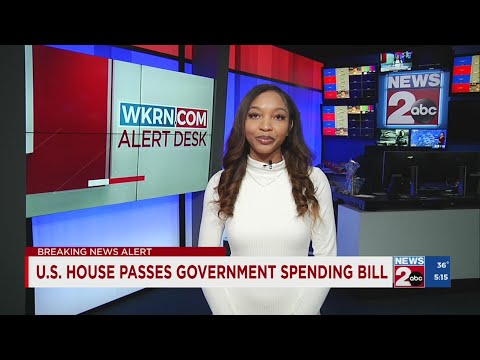 U.S. House passes government spending bill