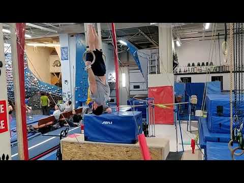 now THAT’s a Maltese – Gymnastics Coaching.com
