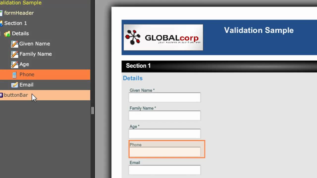 Validation Rules and Mandatory Fields