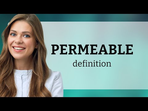 Permeable • PERMEABLE meaning
