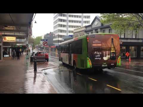 Inaccurate Dunedin bus timetables fixed
