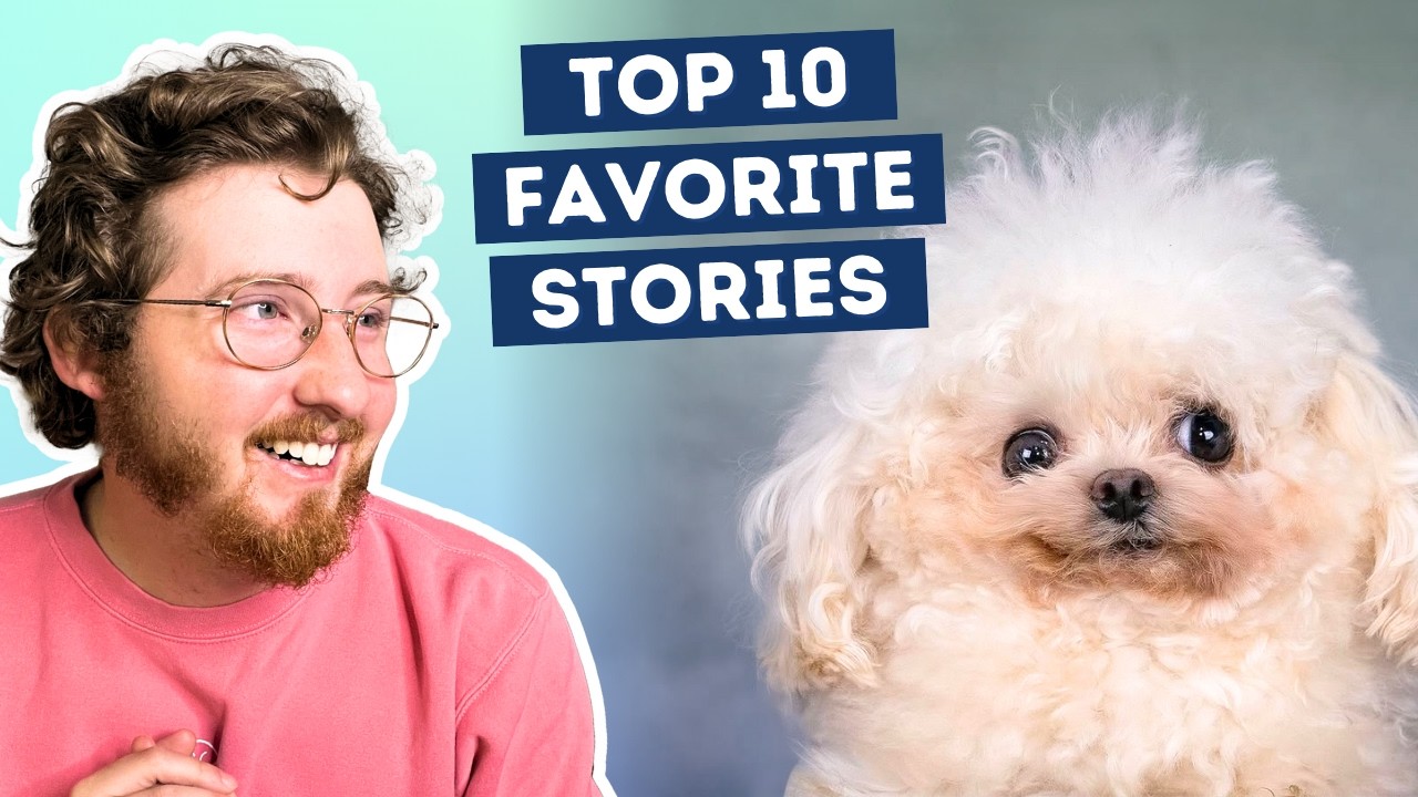 My Top 10 Favorite Dog Stories of the Year!