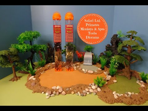 Safari Ltd. Primates & Monkeys & Apes Toobs - Animal Diorama - Learn Primate Names