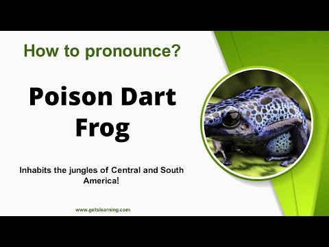 How to pronounce Poison Dart Frog in English correctly