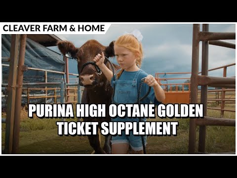 Purina High Octane Golden Ticket Supplement | Cleaver Farm & Home