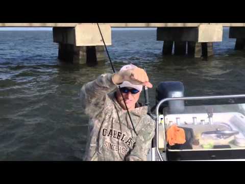 DockSide Live