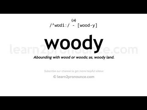 Pronunciation of Woody | Definition of Woody