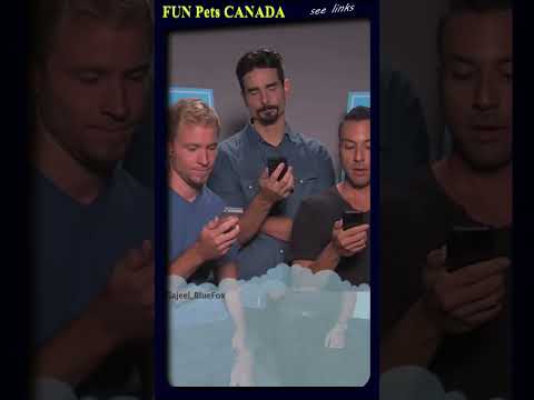 ????Mean tweets????Music Edition2????JIMMY Kimmel