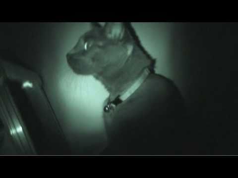 Feline Ghost Adventures - Official Version