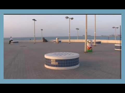 Shahd Almezahmi - Travel Agent 2022