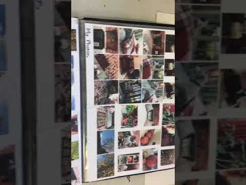 Art GCSE year 11 2018 Portfolio AQA high level example