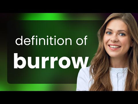 Burrow — what is BURROW definition