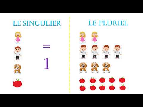 Le singulier et le pluriel des noms