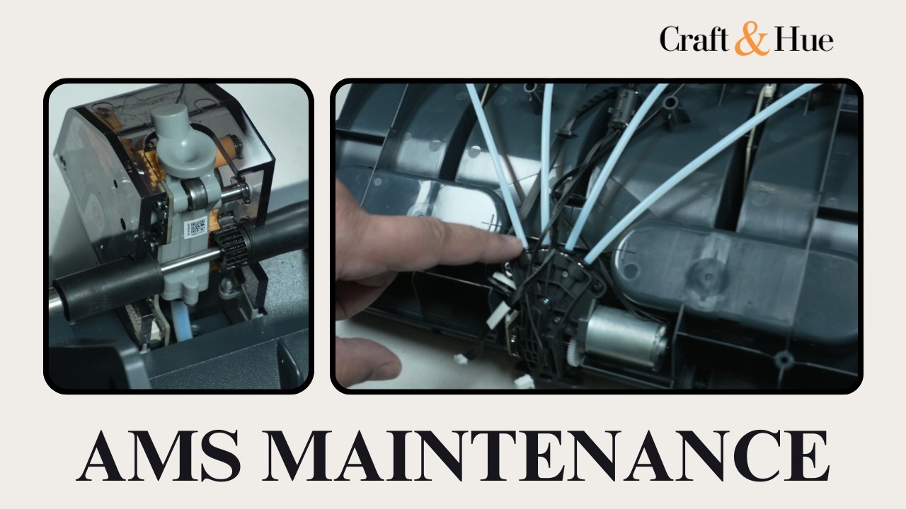 Bambu Lab AMS Maintenance Guide | Prevent Feeding Issues