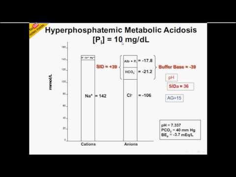 Arterial blood gases interpretation buffer base -SIG- 17/29(English)