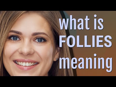 Follies | meaning of Follies