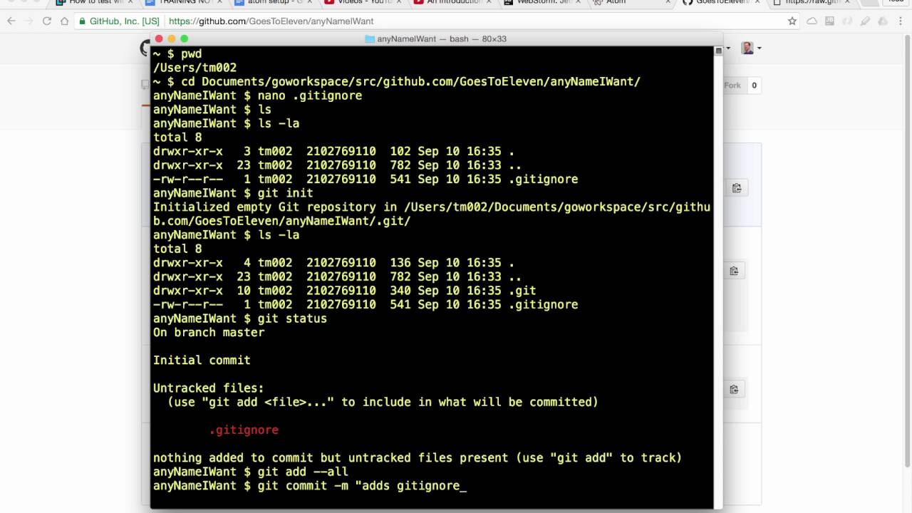 Github, Golang, & The Golang Workspace