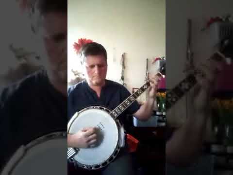 Goldtone TS-250AT Tenor Banjo