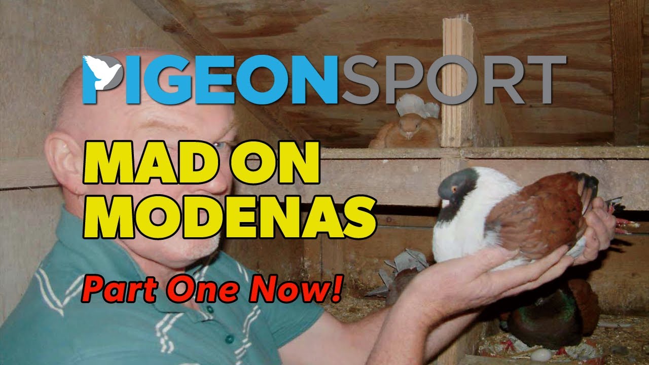 Mad on Modenas - Part One