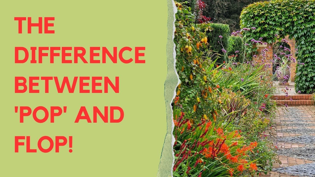 Garden borders and structure - don't miss out on this easy win! Lessons from Cloudehill gardens
