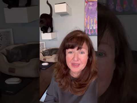Help for Upper Respiratory Infections in CATS! #shorts