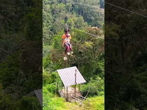 zip line