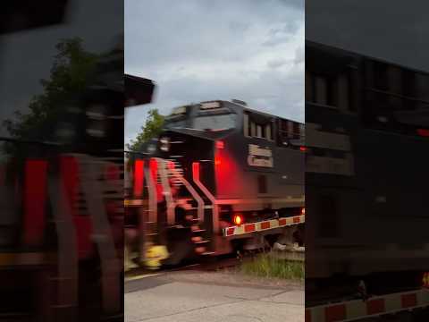 CN 3008 Trailing Second On M313 #train #railway #railroad #canadiannationalrailway #heritageunit #cn