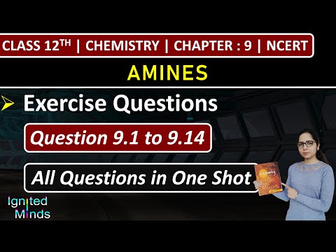 Class 12th Chemistry Chapter 9 | Exercise Questions (9.1 to 9.14) | Amines | NCERT