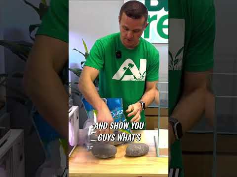 Best Aquascaping Rocks!