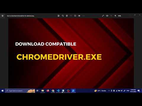 How To Download Chrome Driver For Chrome Browser 115 and Above
