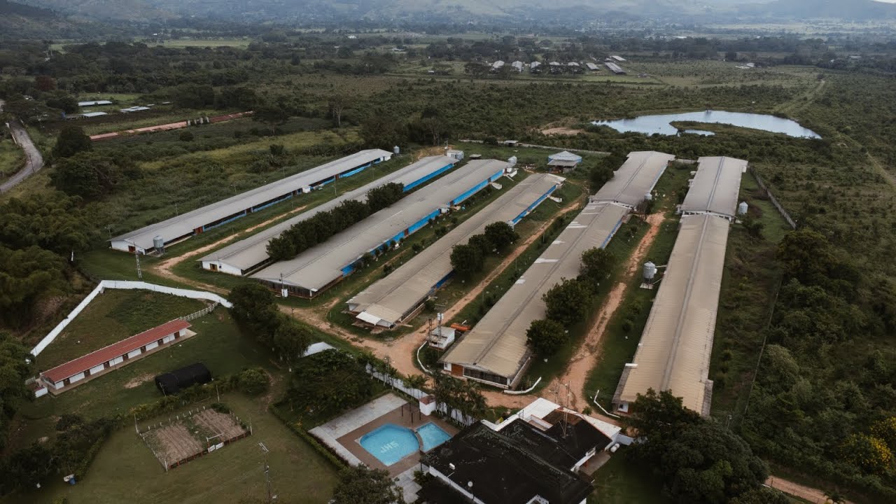 JHS GRUPO - JHS Agroindustria