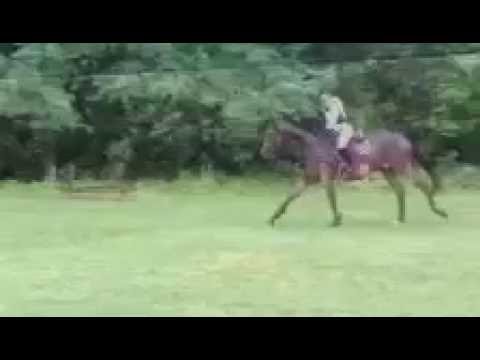 Frazier farm Ht|JF.EVENTING